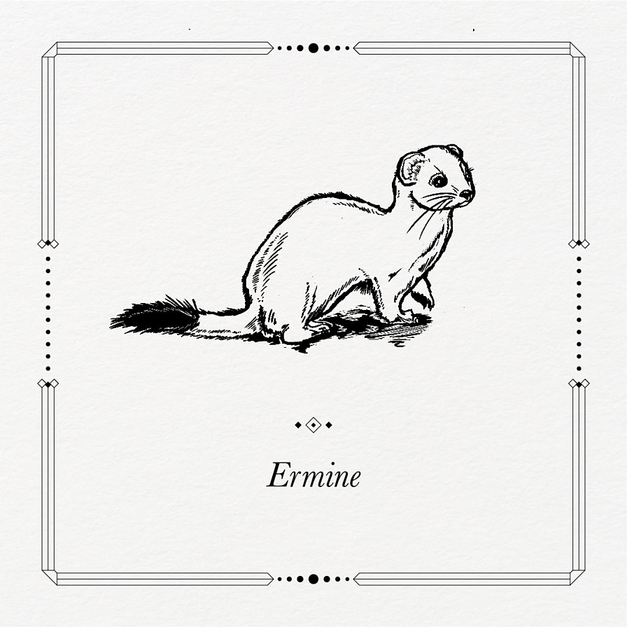 BBC One - His Dark Materials - Ermine