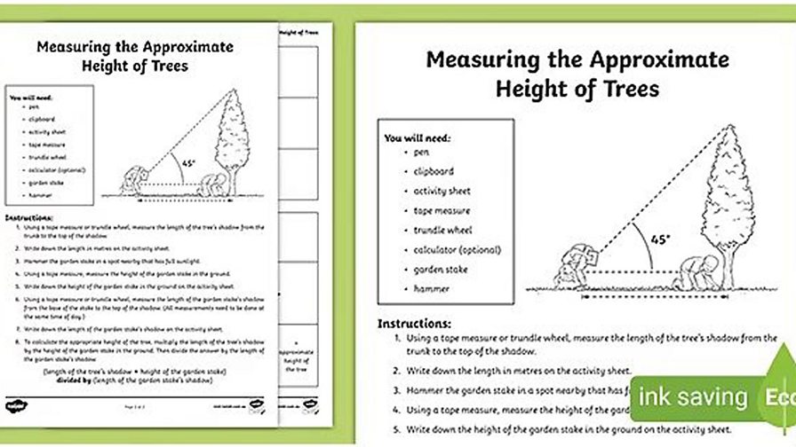 BBC - Finding fascinating facts about trees in Ballyclare