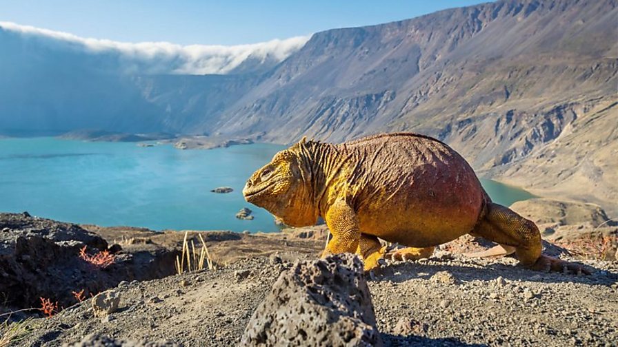 BBC One - A Perfect Planet, Series 1, Volcano