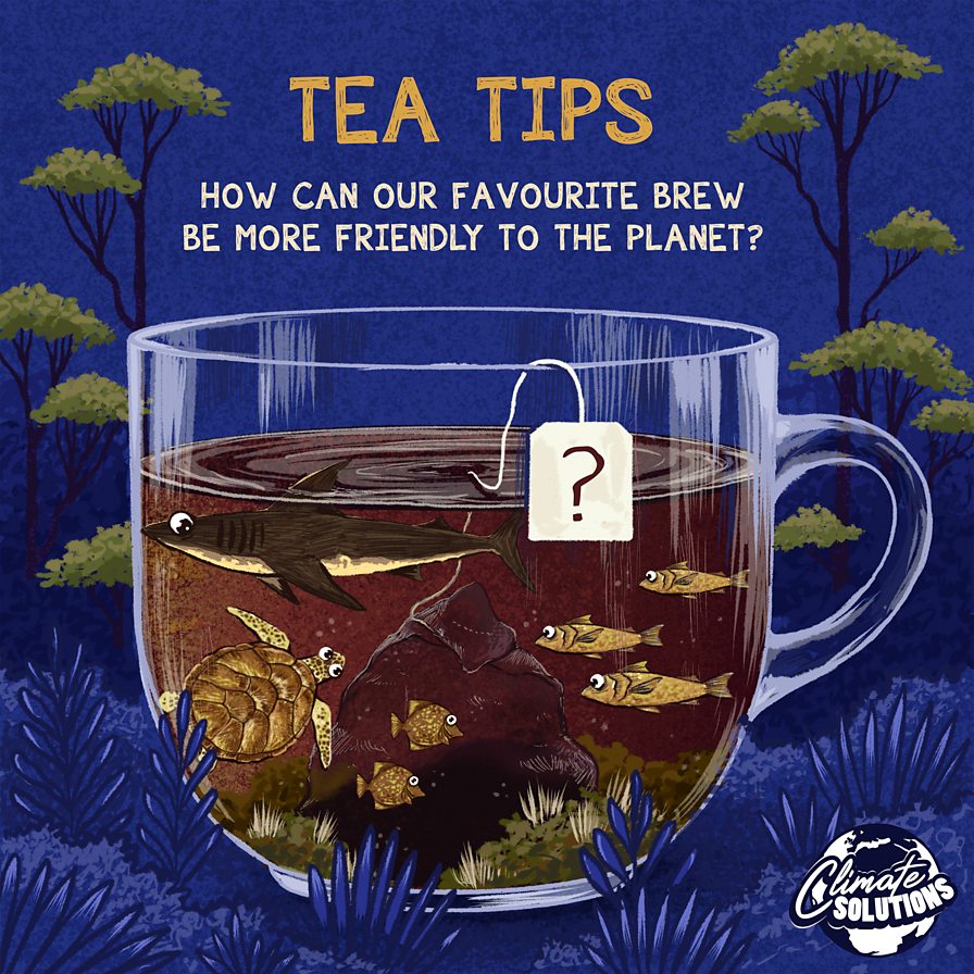 BBC Radio 4 - 39 Ways to Save the Planet - Five easy ways you can help ...