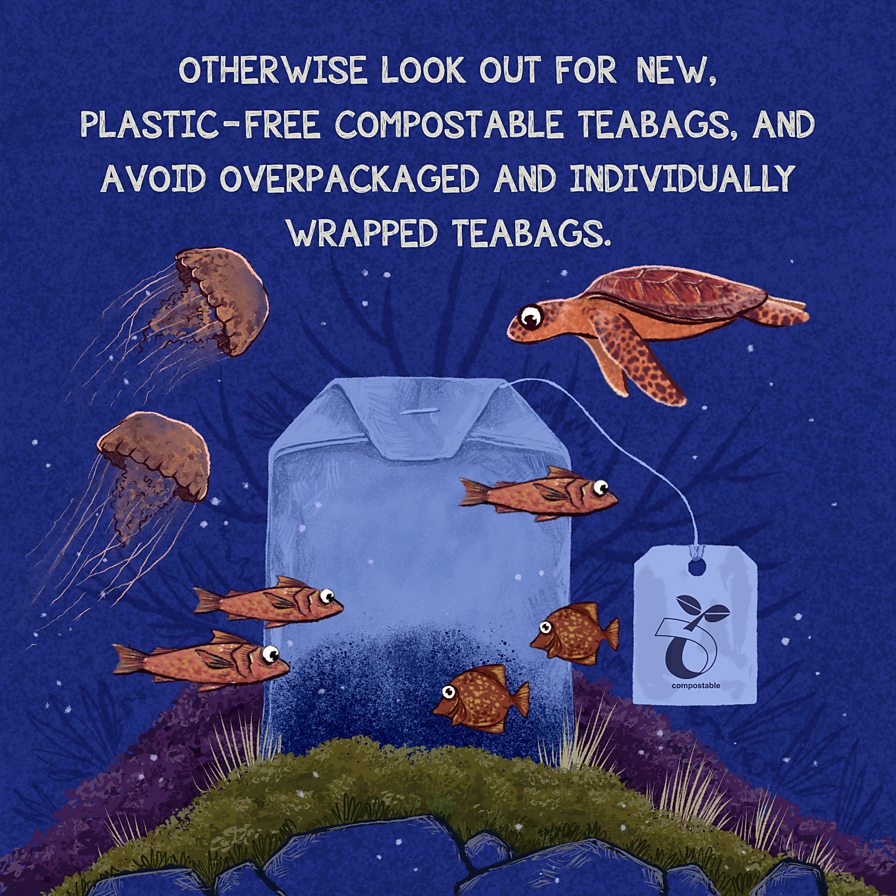 BBC Radio 4 - 39 Ways to Save the Planet - Five easy ways you can help ...