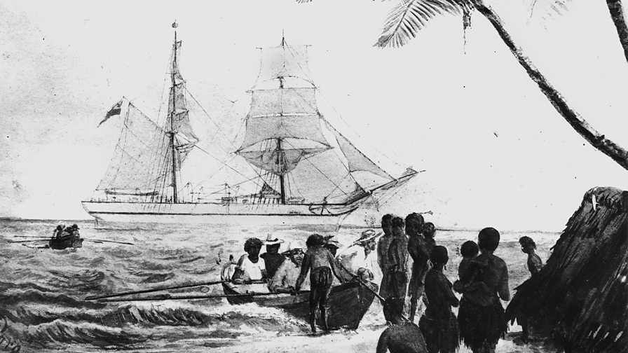 BBC - The Social - Blackbirding: Scotland's dark place in the history ...