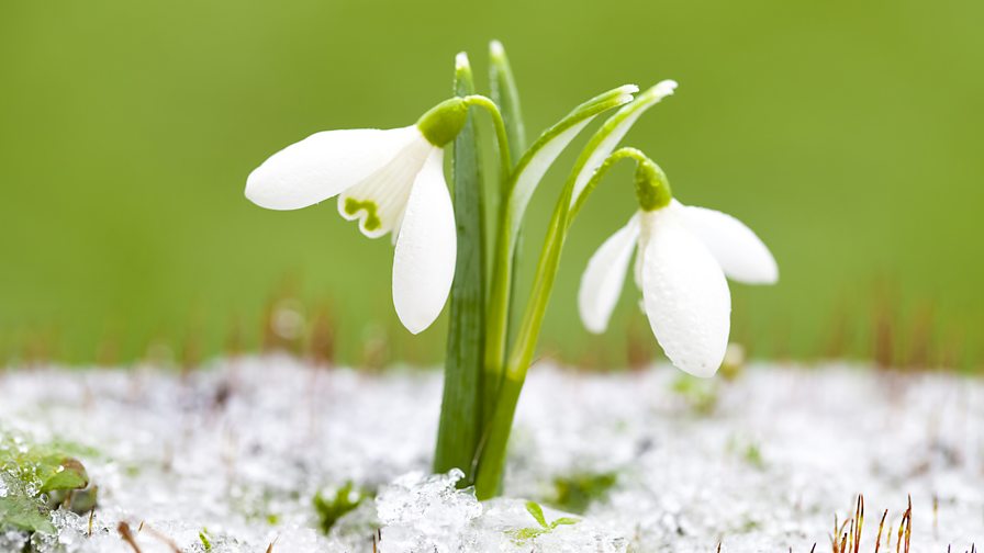 BBC - Why we should all hold on to hope