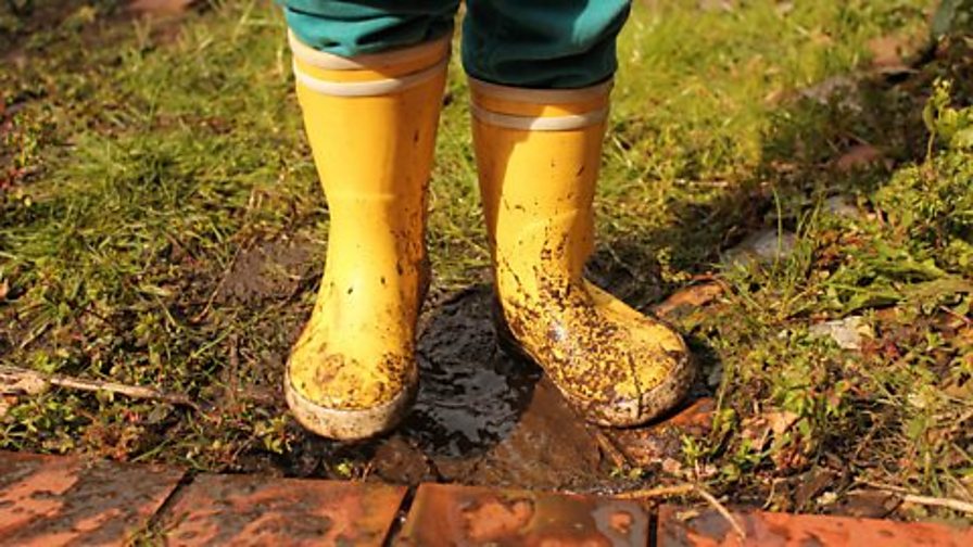 BBC Radio 4 - The Archers - Tom Archer