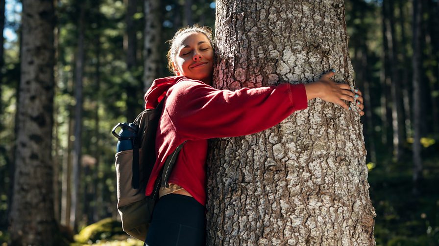 BBC Radio 4 - Why Do We Do That? - Why does nature make me feel calmer?