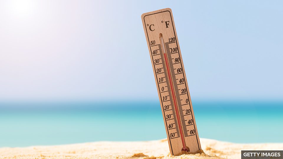 BBC Learning English - 你问我答 / Modify, revise, amend, alter 区别是什么？