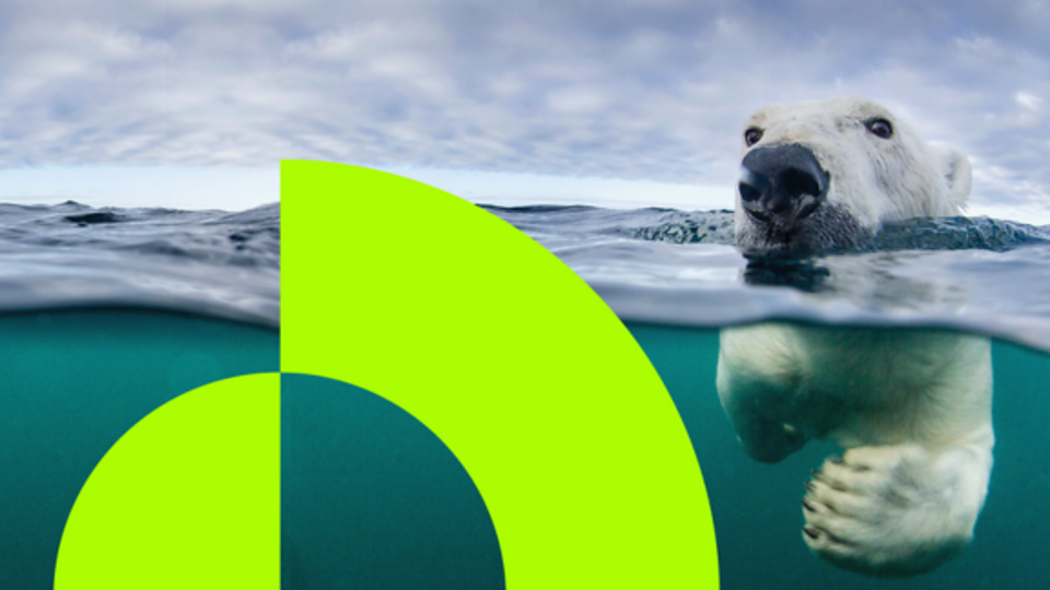 Future Earth newsletter