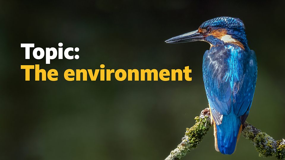 BBC Learning English - Topics