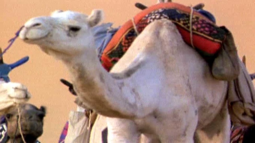 BBC Two - Curriculum Bites, Future Landscapes: Climate Change and ...