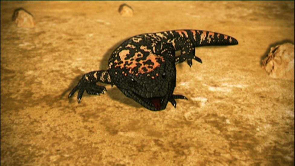 BBC Two - Planet Dinosaur, Predators and their prey - Inspiration for ...