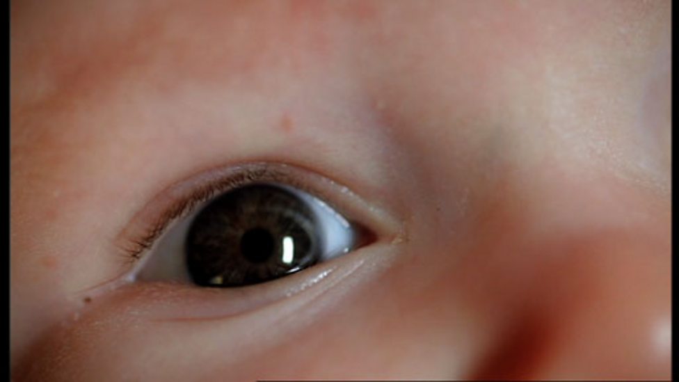 BBC Two - Inside the Human Body - Learning Zone, The human eye