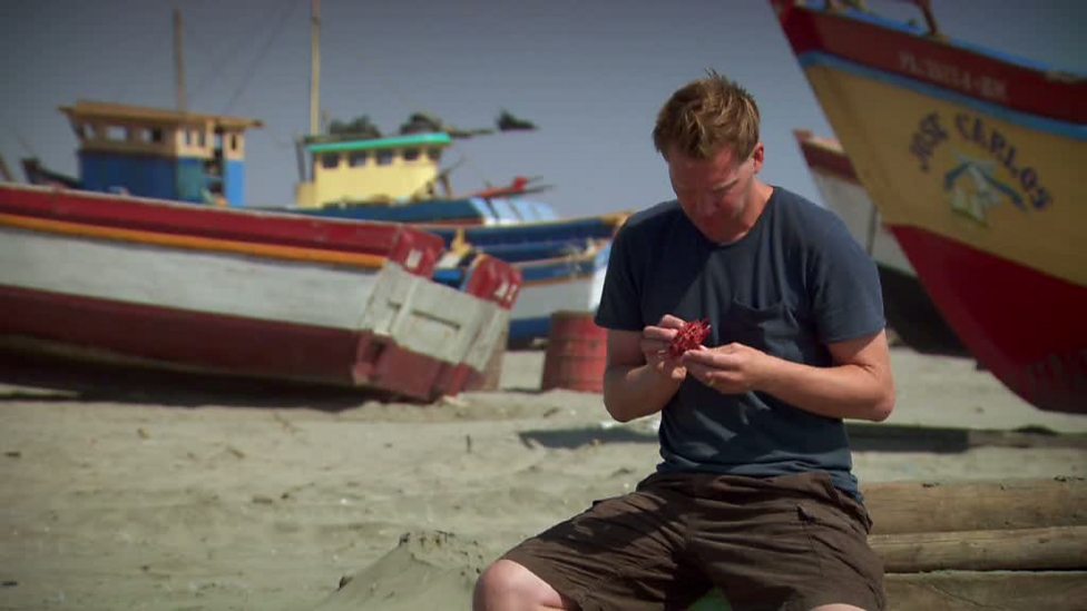 BBC Four - Lost Kingdoms of South America, Kingdom of the Desert ...