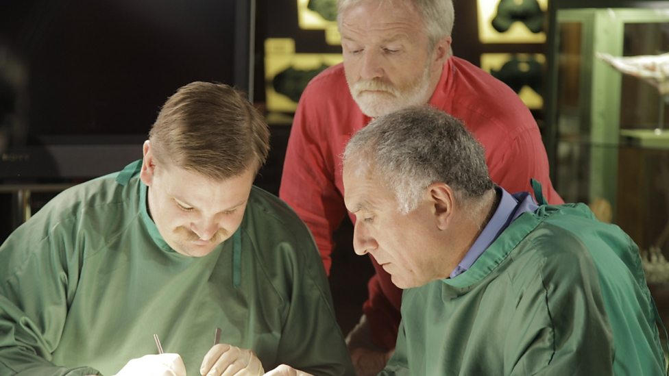 BBC Four - Dissected, The Incredible Human Hand, Which finger could you ...