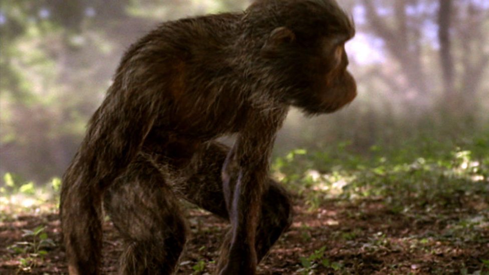 BBC One - Walking with Beasts, The Science of Walking with Beasts, The ...
