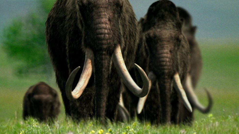 BBC One - British Isles: A Natural History, Ice Age, Channel crossing