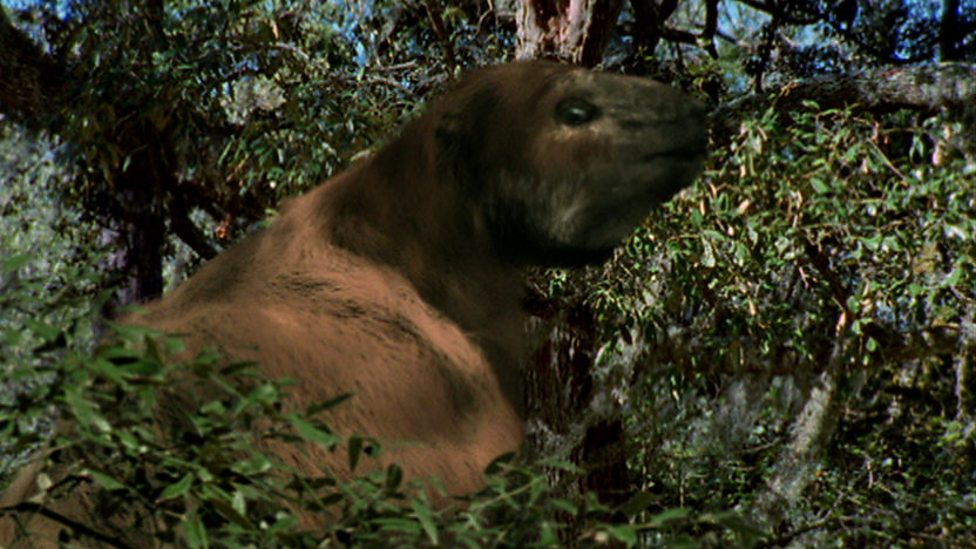 BBC Two - Natural World, 2003-2004, Ice Age Death Trap, Ice-age Americans
