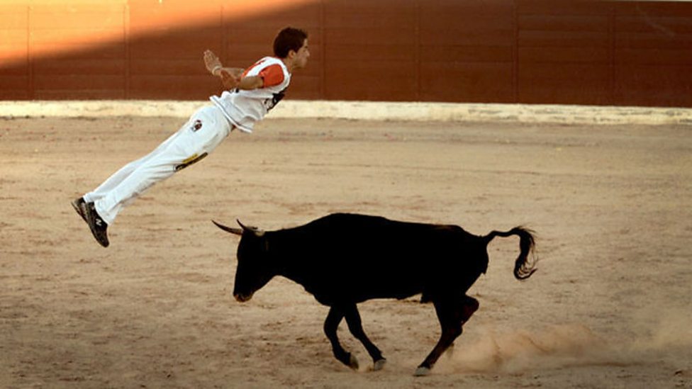 BBC One - Inside the Human Body, Hostile World, Bull Jumping