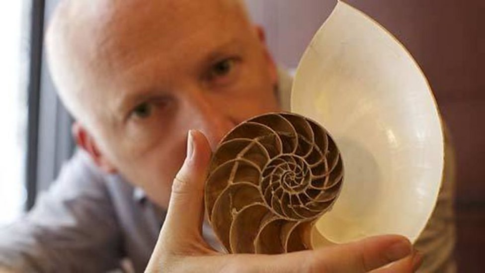 BBC Two - The Code, Numbers, The secrets of the nautilus shell
