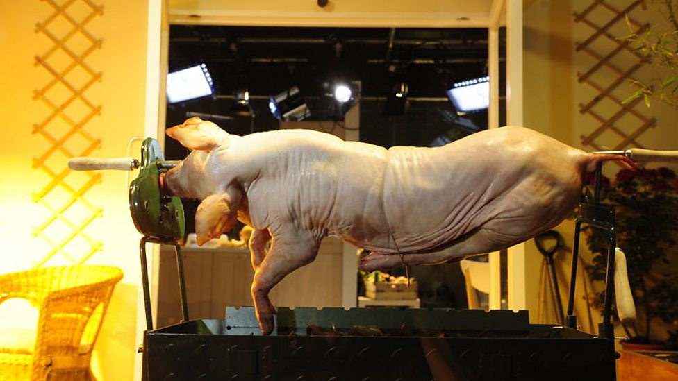 BBC Four - After Life: The Strange Science of Decay, Pig Dissection