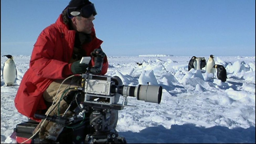 BBC One - Frozen Planet, Autumn, The Emperor's return