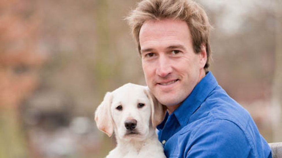 BBC One - Lifeline, Hearing Dogs for Deaf People, Lifeline - Hearing ...