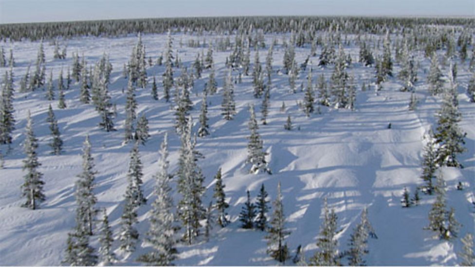 BBC One - Planet Earth, Seasonal Forests, Boreal forest aerials