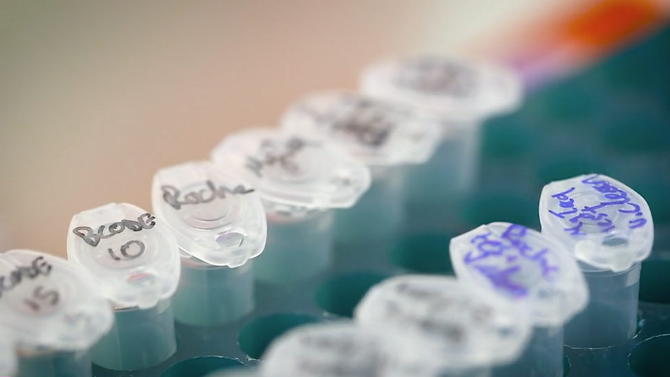 BBC - Learning, In the blood