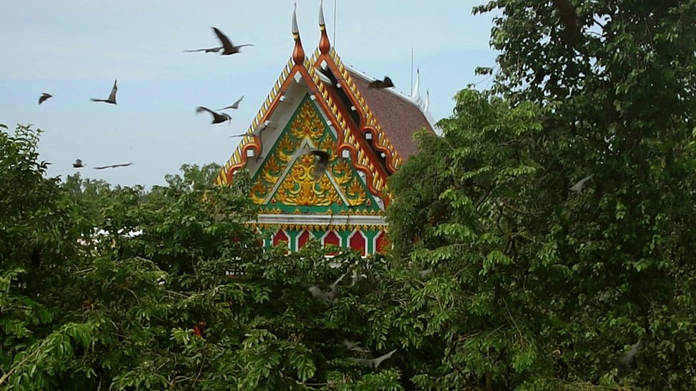 BBC Two - Thailand: Earth's Tropical Paradise, The Central Heartland ...