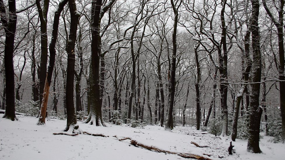BBC Radio 4 - Radio 4 in Four - 10 ways to warm up on a cold day