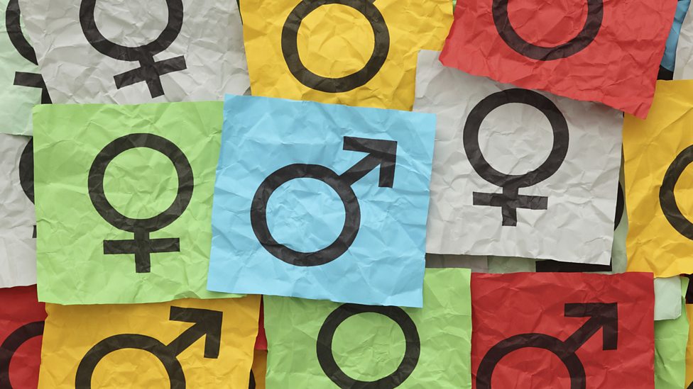 BBC Radio 4 - Radio 4 in Four - Women and words: why language matters