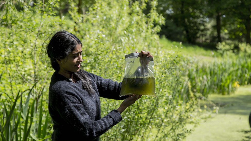 BBC One - Invented in.. - Inventions: Eureka moments that changed our world