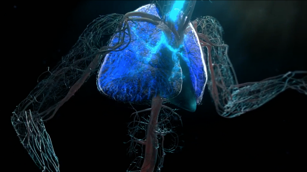 BBC Two - The Human Body: Secrets of Your Life Revealed, Series 1 ...