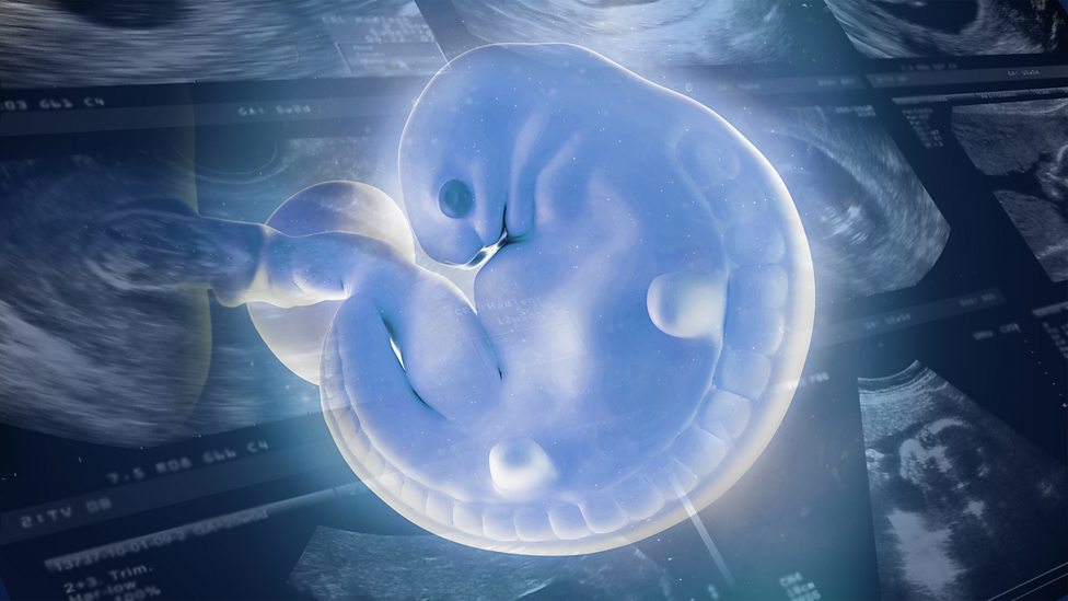 BBC Radio 4 - Tracks - Eight surprising facts about human evolution