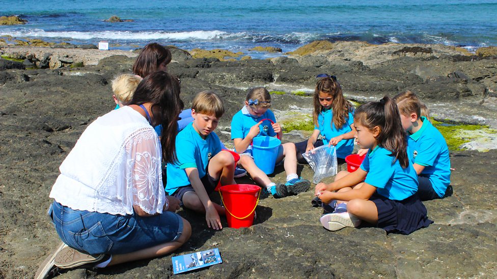 BBC - Rockpooling in Portrush