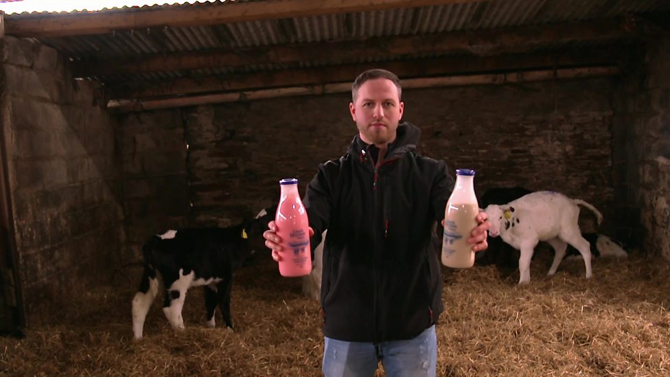 BBC Three - Young, Welsh and..., Bossin' It, Episode 3, My milkshake ...
