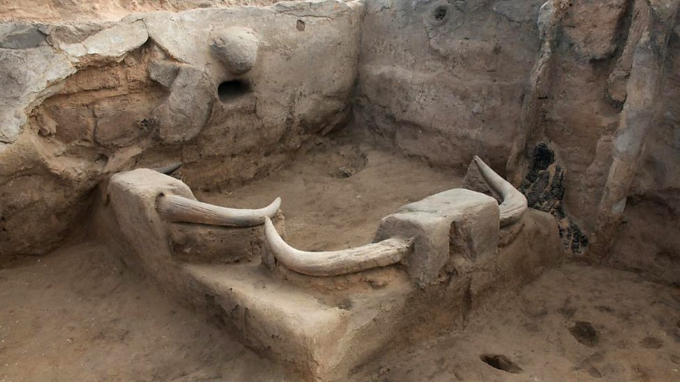 BBC Radio 4 - You're Dead to Me - 7 scintillating facts about the ...