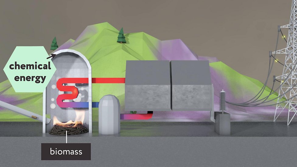 Biomass Power Plant Diagram For Kids Biomass And Biogas Plant | SEA