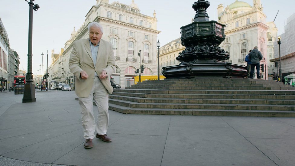 BBC One - The Green Planet, Series 1, Human Worlds, David Attenborough ...