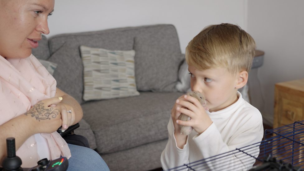 BBC - Learning, Looking after a Pet