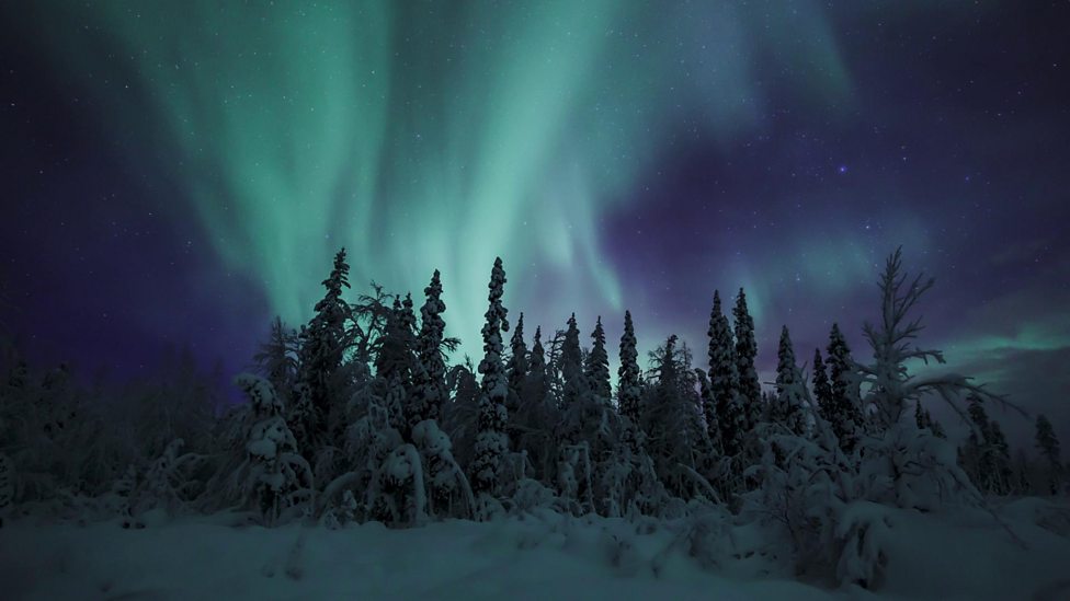 BBC One - Frozen Planet II, Frozen Planet Prequel (Featuring Camila ...