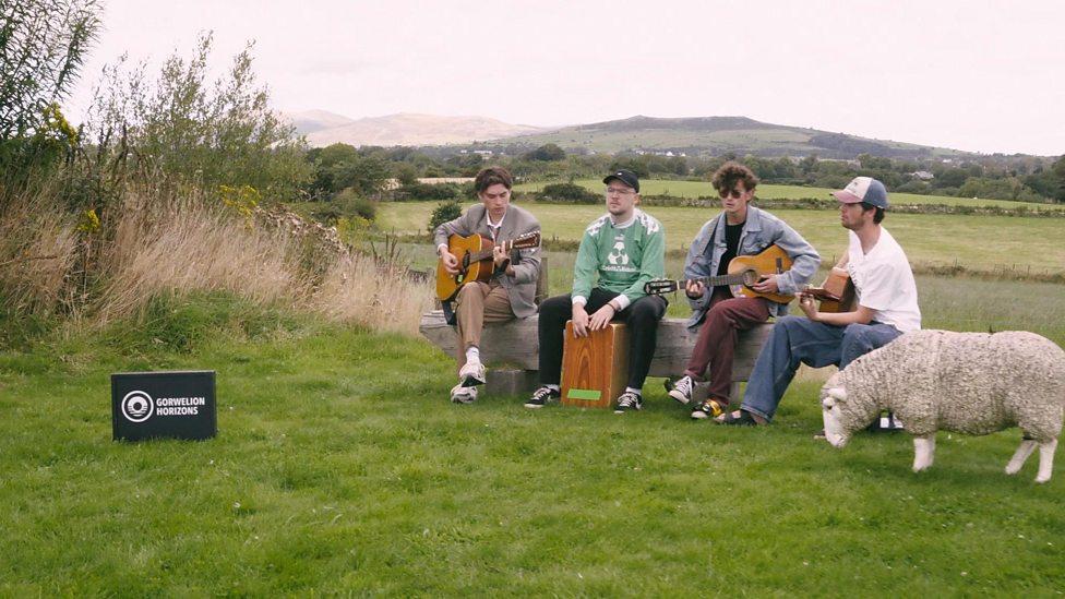 BBC Wales - Horizons, Pys Melyn - Defaid (Sesiynau Gorwelion)