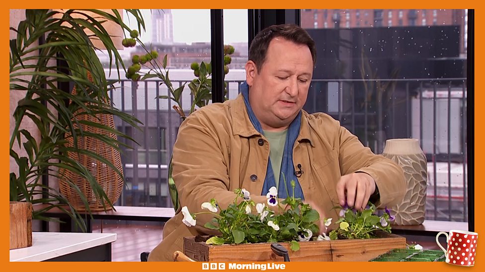 BBC One - Morning Live - Mark Lane