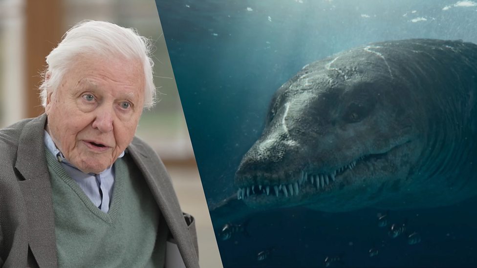 BBC One - Attenborough and the Giant Sea Monster, Sir David Attenborough on the pliosaur skull ...