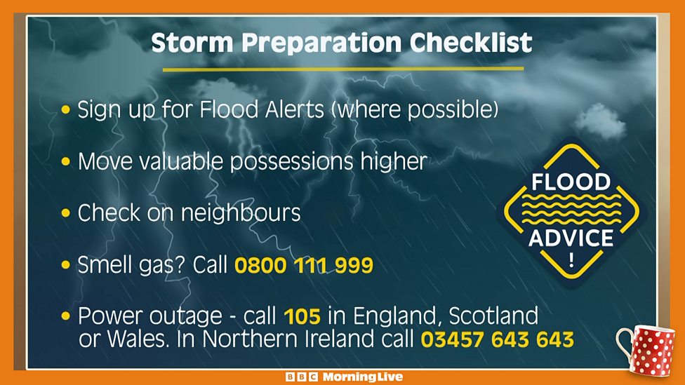 BBC One - Morning Live - Matt Allwright