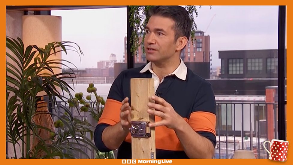 BBC One - Morning Live - Wayne Perrey