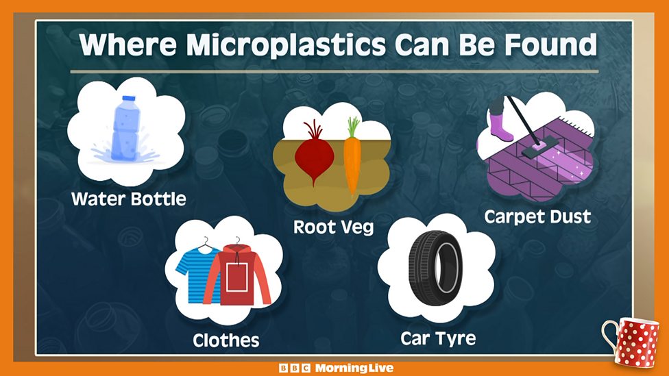 BBC One - Morning Live, What can microplastics do to our bodies?
