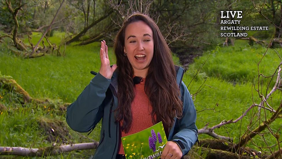 BBC Two - Springwatch, Megan McCubbin spots a beaver live on Springwatch