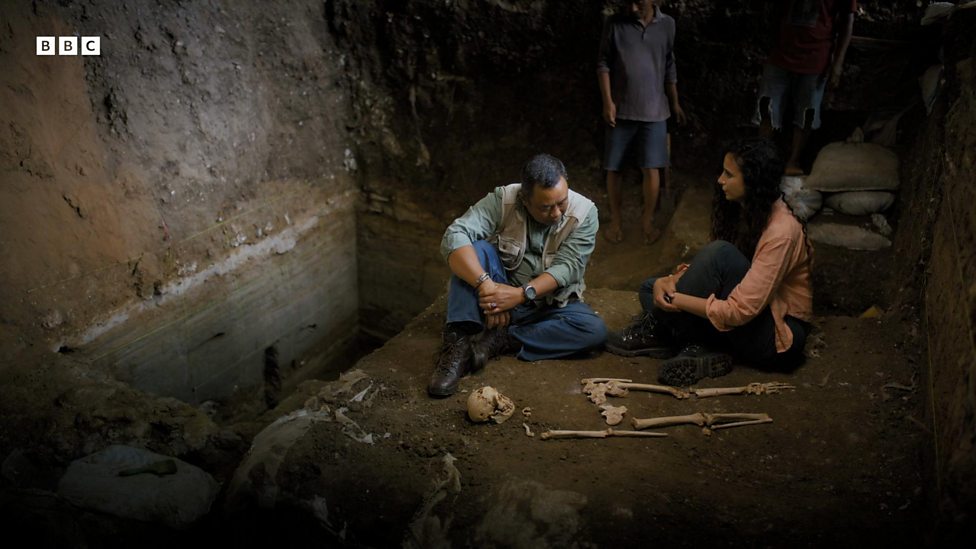 BBC Two - Human, Homo floresiensis