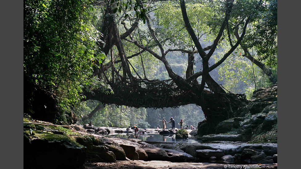 BBC One - Human Planet, Human Planet Gallery - Human Planet: Grasslands ...