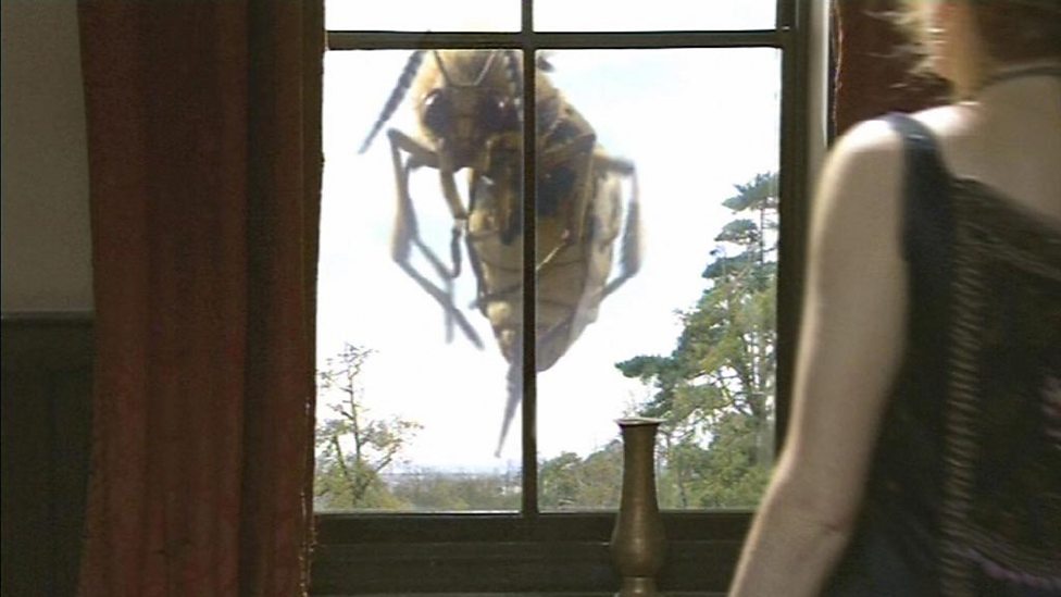 BBC One - Doctor Who (2005–2022), Series 4, The Unicorn and the Wasp ...